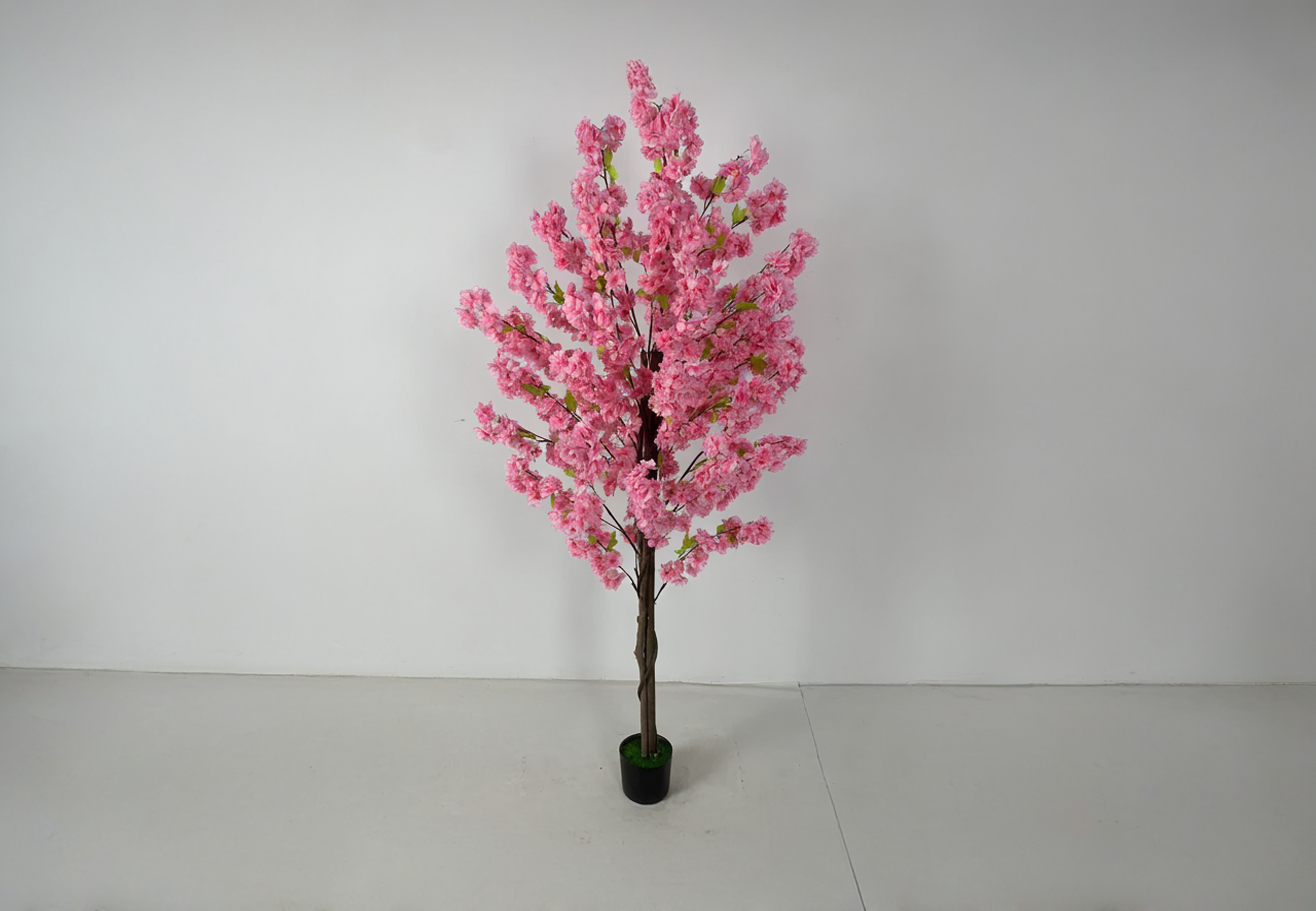 Pink Sakura Plant – Mikano Furniture